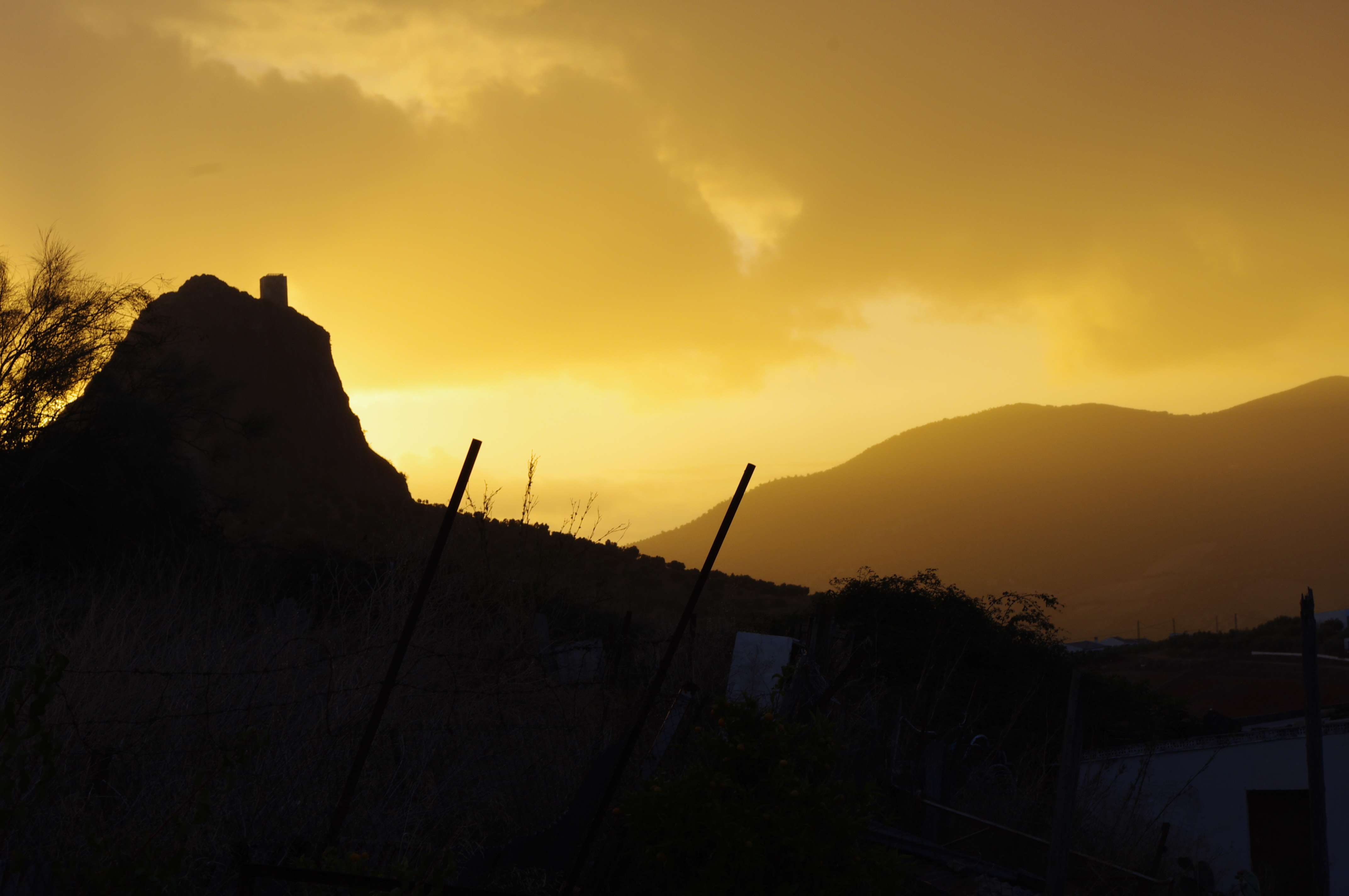 all you need to know about Pruna