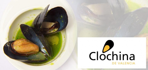 Valencian Mussels - The Best Mussel in the World