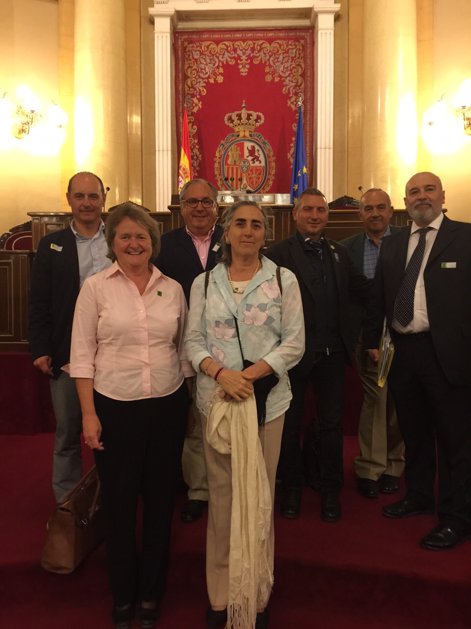 Spanish Senate rejects homeowners bid to improve the reliability of the ...