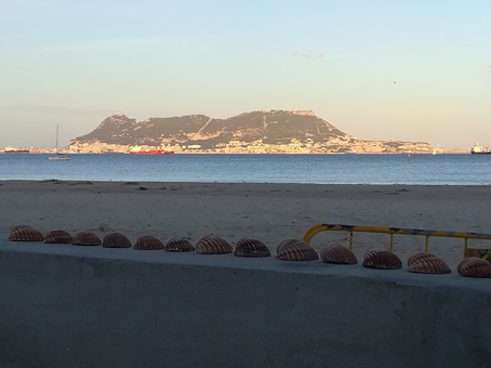 Sea shells in southern Spain