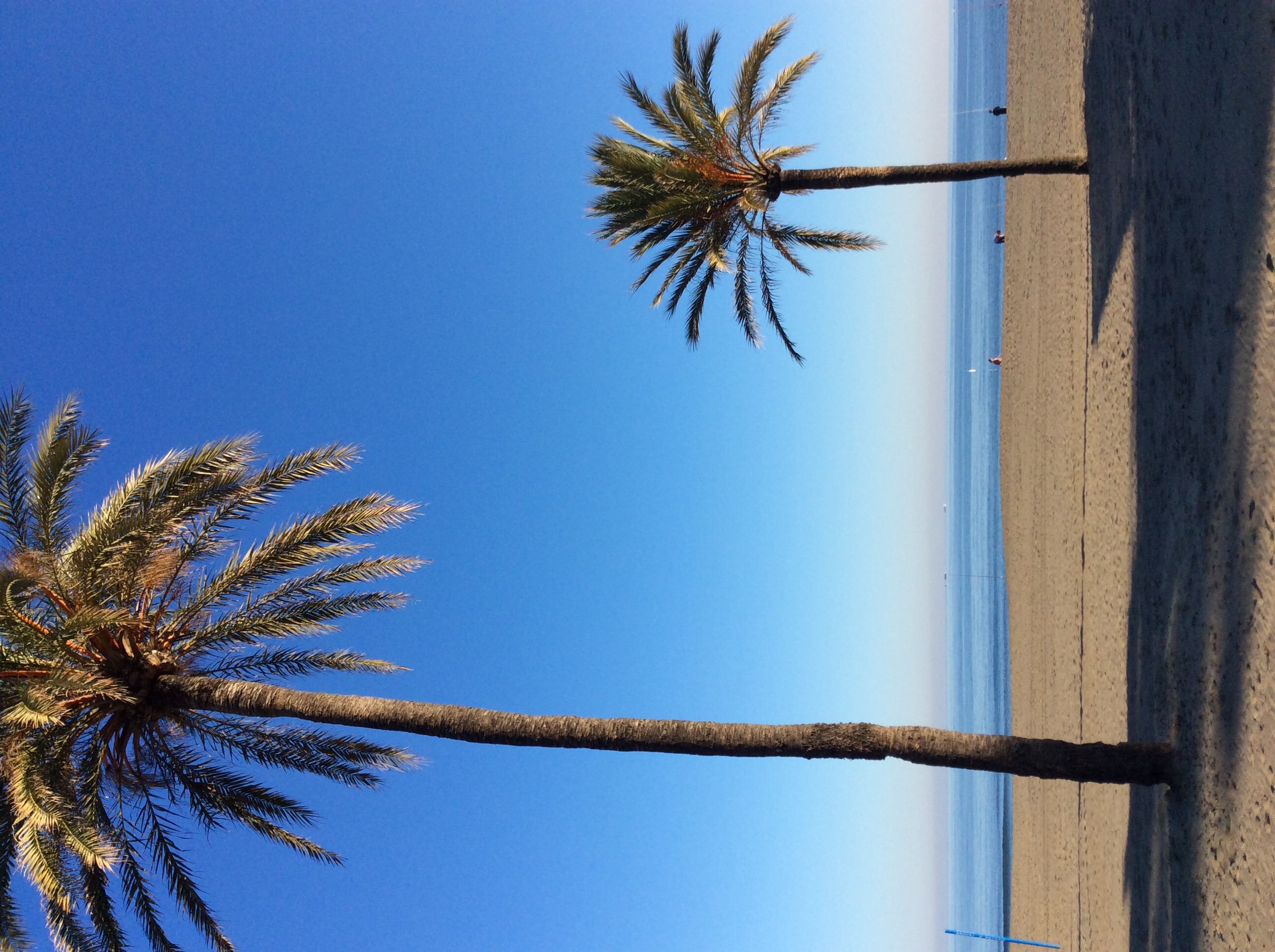 Things to love about Estepona