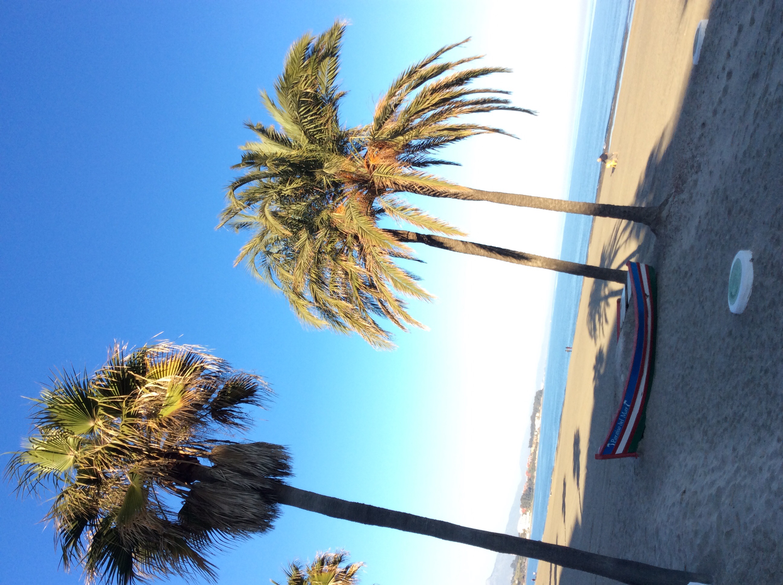 Things to love about Estepona