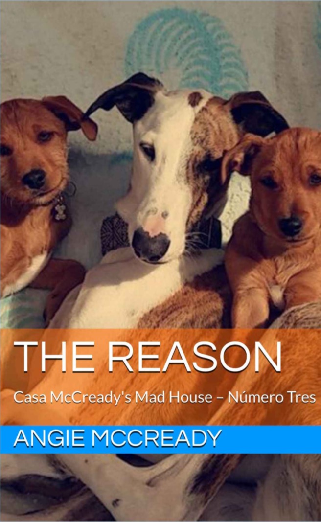 Angie's 3rd book about Casa McCready is out, please buy it