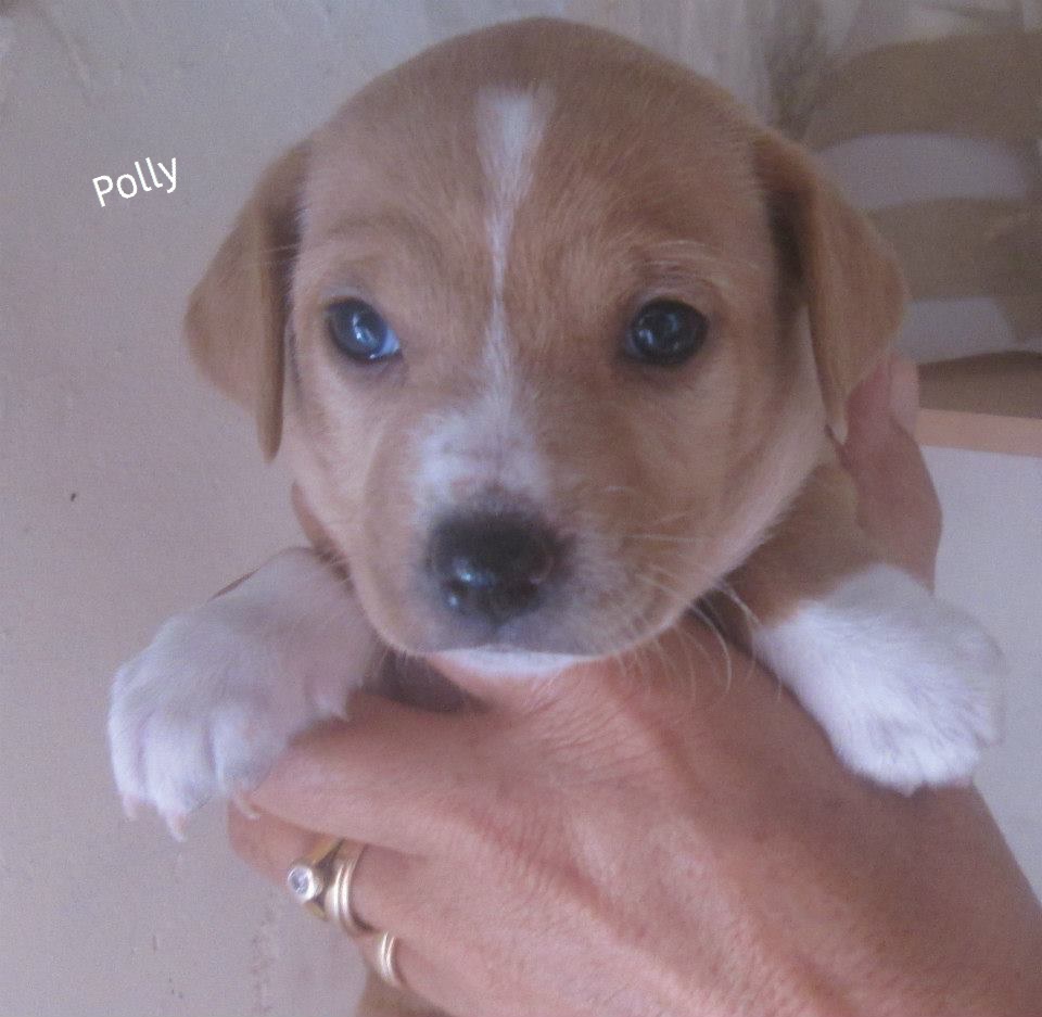 Busy, busy, busy at Casa McCready