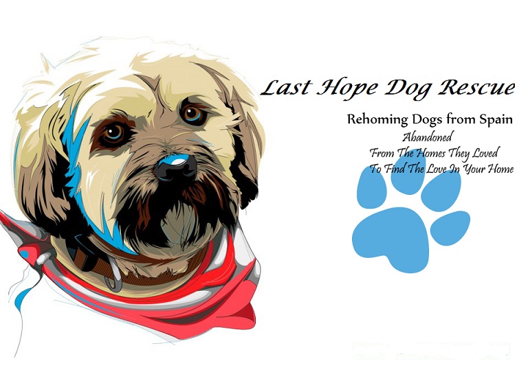 Last Hope Dog Rescue, Torremendo, Alicante.