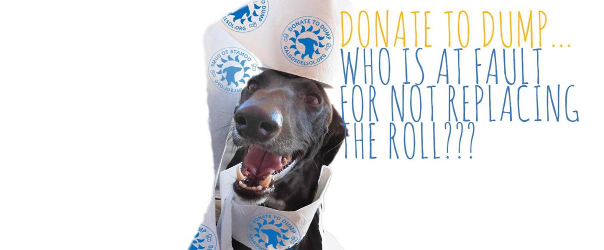 Galgos del Sol (Murcia) makes saving galgos in Spain a reality!