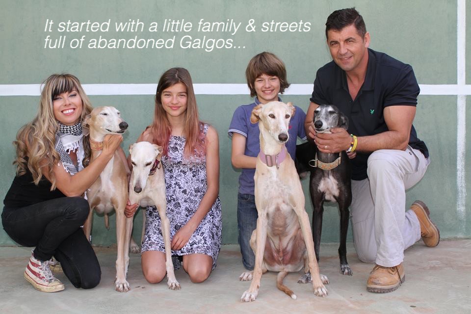 The Galgos del Sol journey