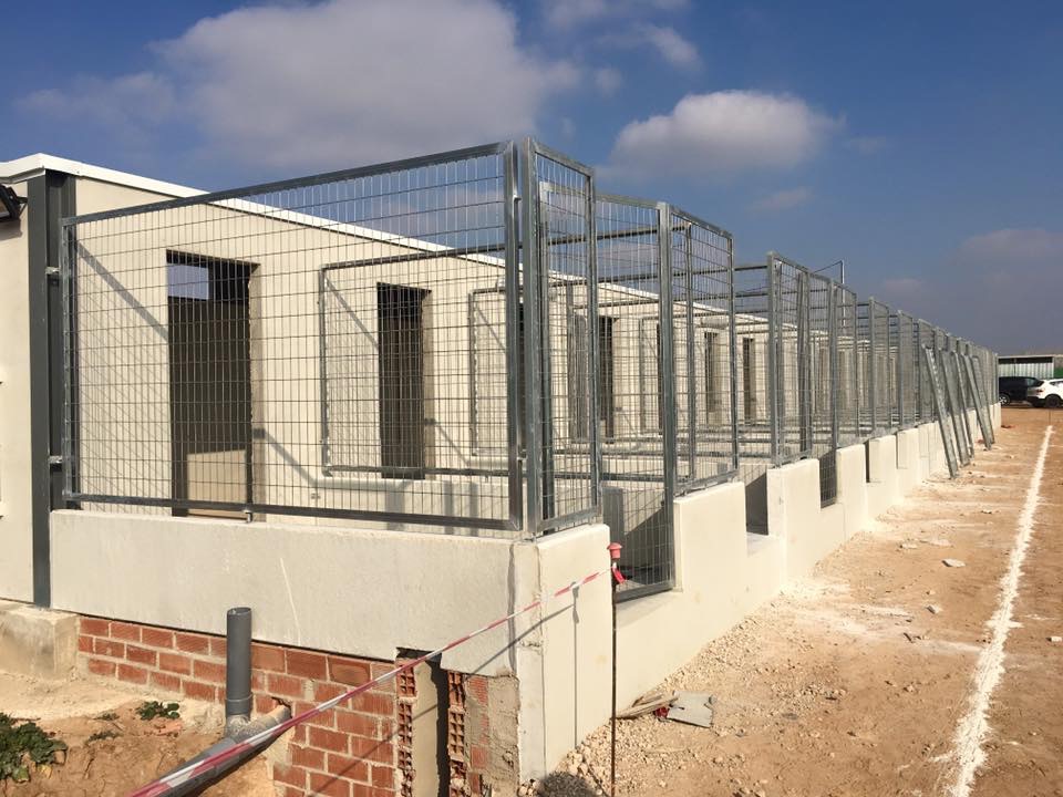 Galgos del Sol (Murcia) makes saving galgos in Spain a reality!