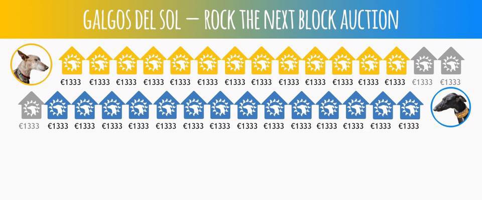 Galgos del Sol (Murcia) makes saving galgos in Spain a reality!