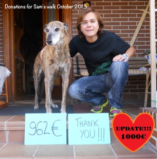 Sam is walking 351km for Galgos del Sol and Ibizan Hound Rescue