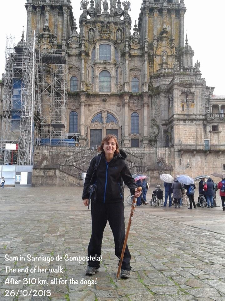 Sam is walking 351km for Galgos del Sol and Ibizan Hound Rescue