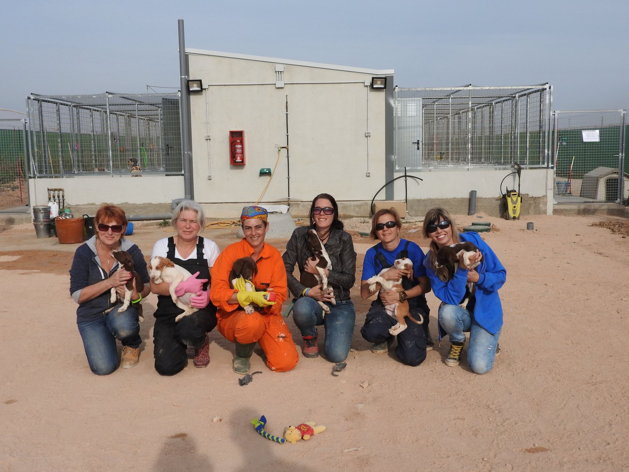Galgos del Sol (Murcia) makes saving galgos in Spain a reality!