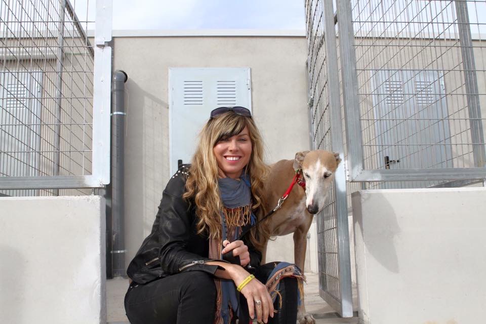 Galgos del Sol (Murcia) makes saving galgos in Spain a reality!