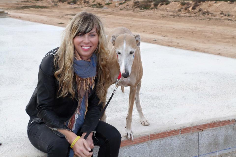 The dogs are being moved to the new centre in two weeks!!